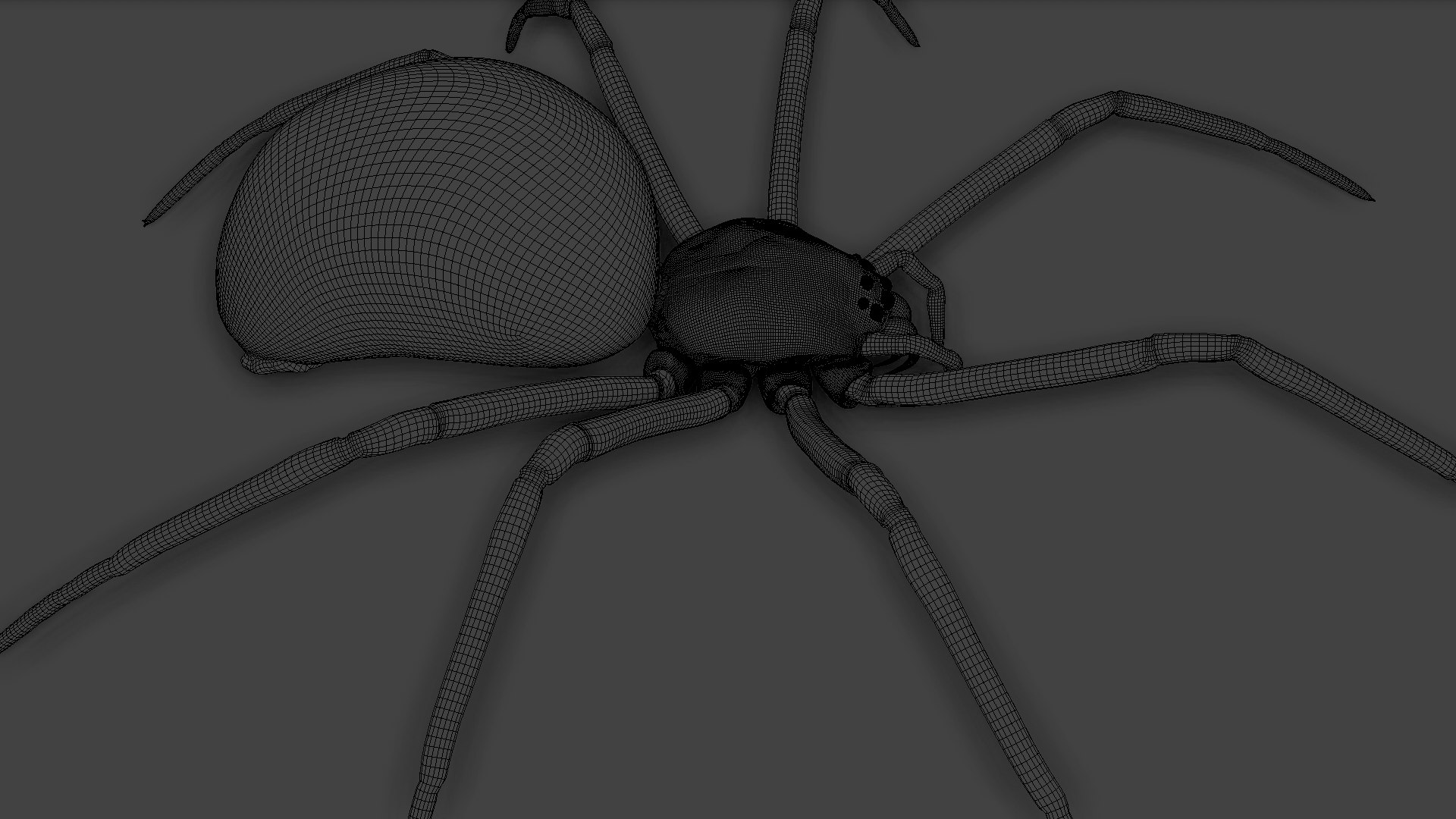 Scary Spider 3D Model - TurboSquid 1491261