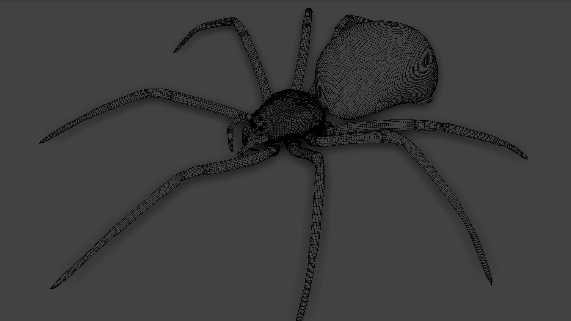Scary Spider 3D Model - TurboSquid 1491261