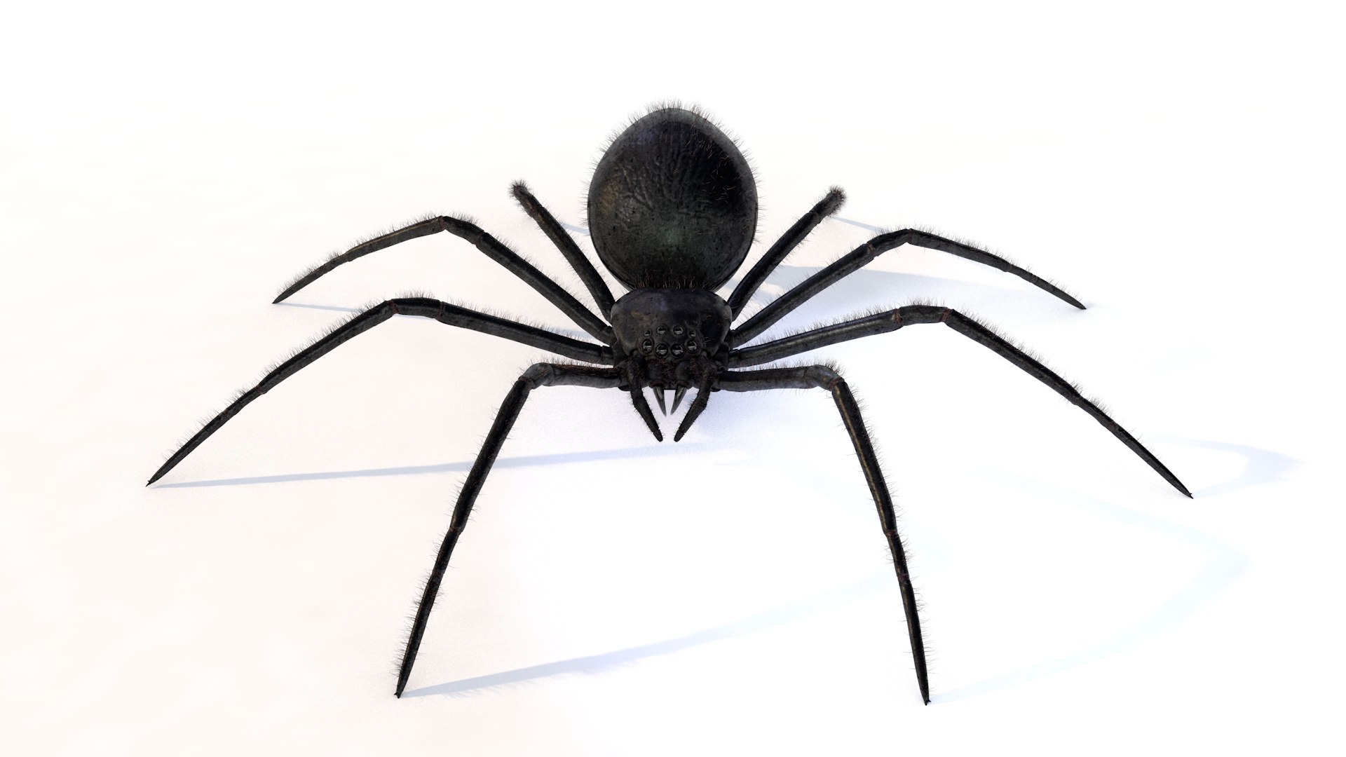 Scary Spider 3D Model - TurboSquid 1491261