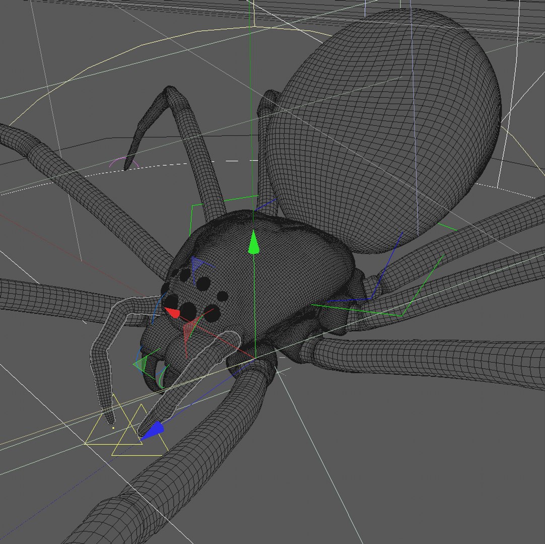 Scary Spider 3D Model - TurboSquid 1491261