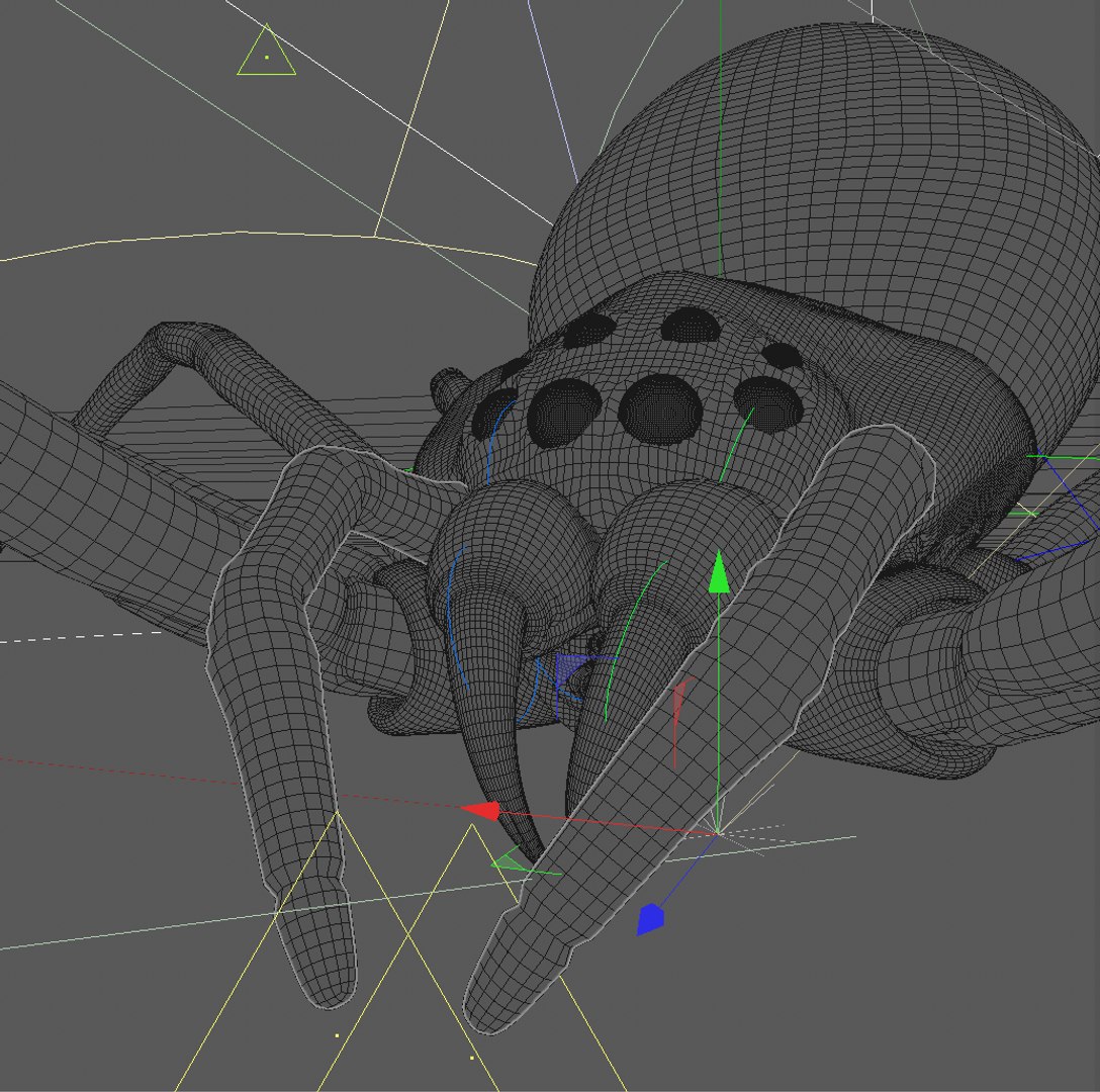 Scary Spider 3D Model - TurboSquid 1491261
