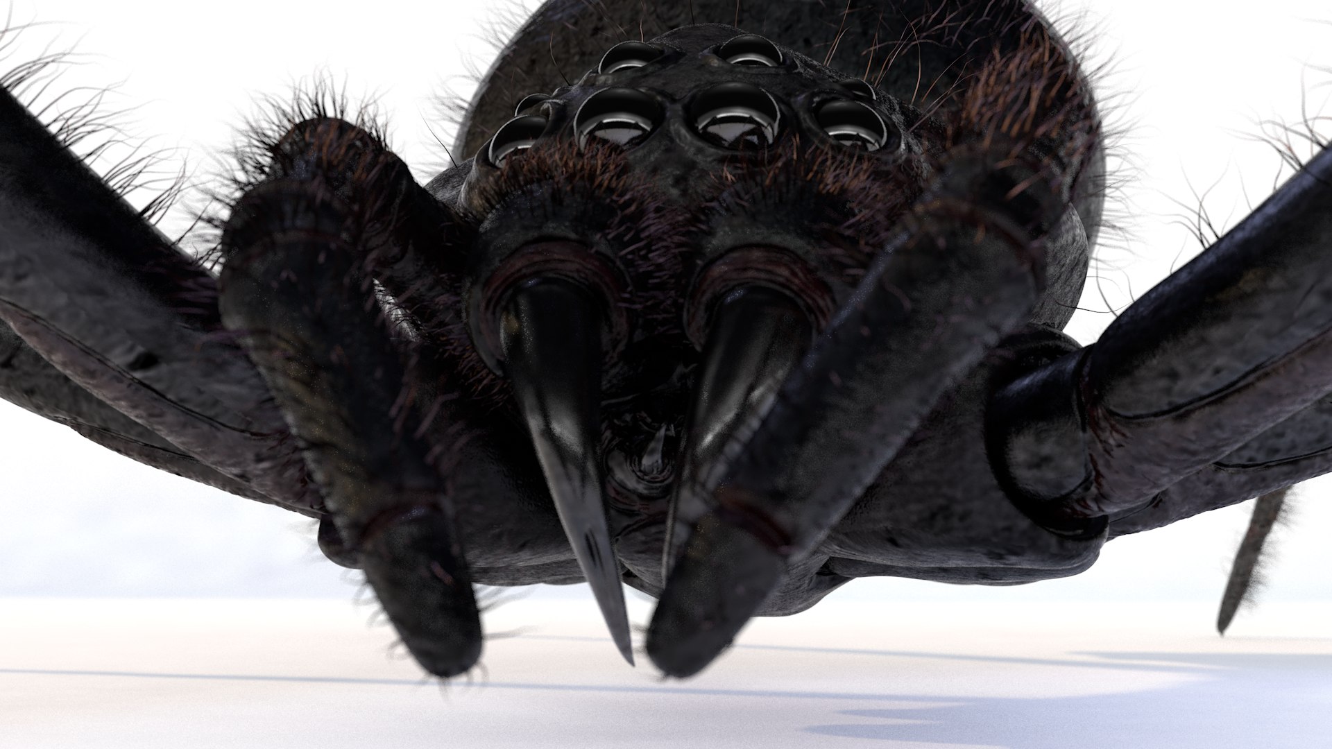 Scary Spider 3D Model - TurboSquid 1491261