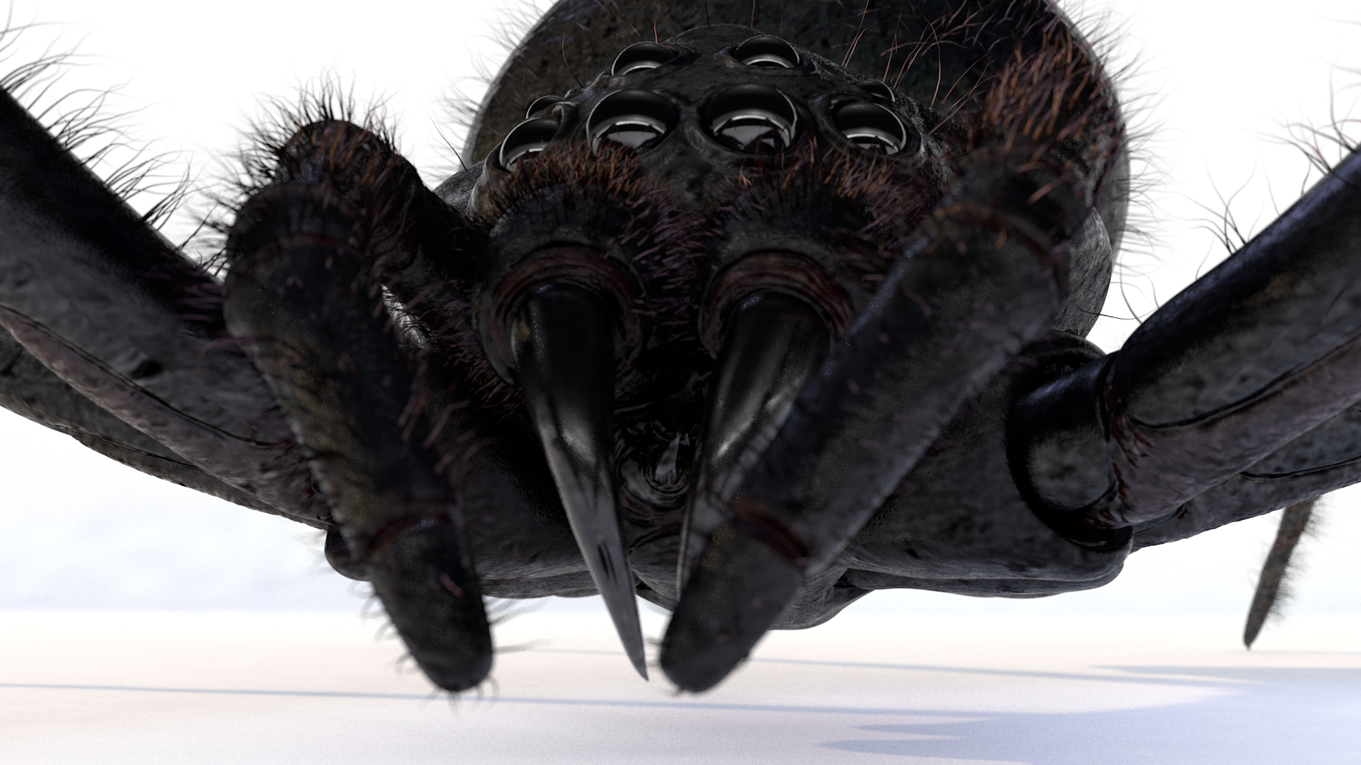 Scary spider 3D model - TurboSquid 1491261