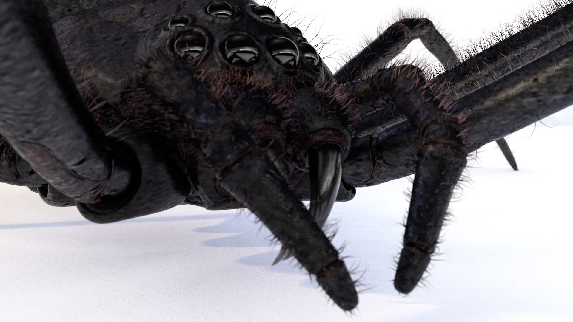 Scary Spider 3D Model - TurboSquid 1491261