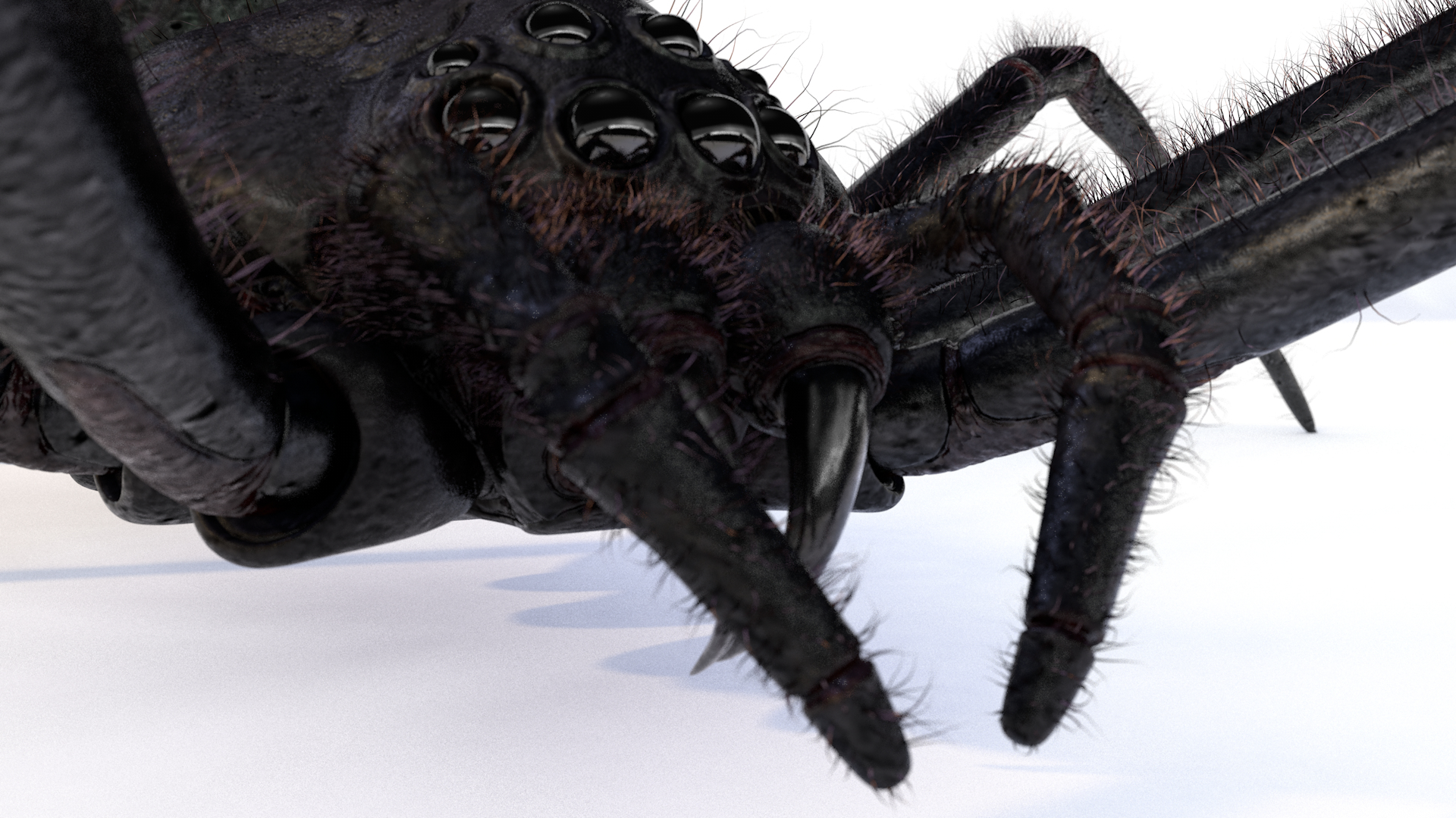 Scary spider 3D model - TurboSquid 1491261