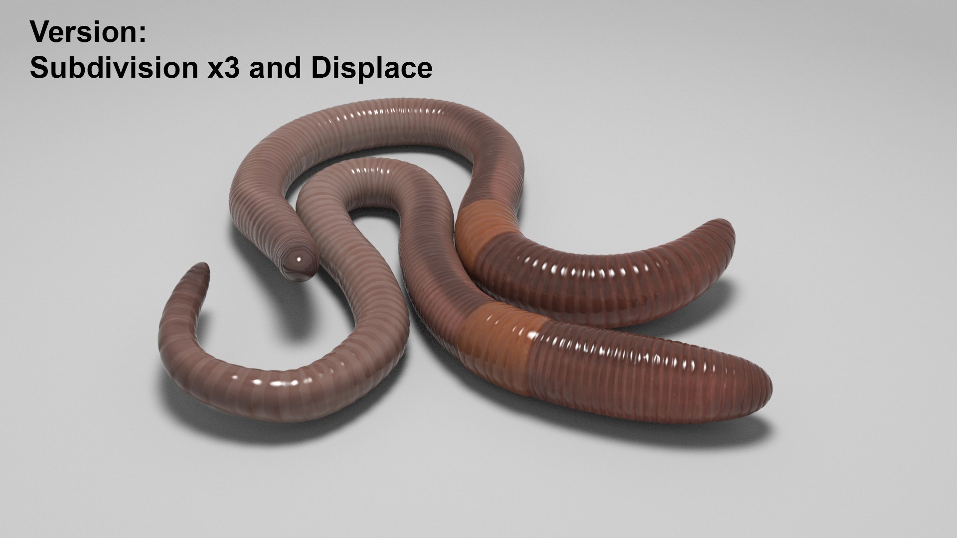 3D Earthworm Model - TurboSquid 1989188