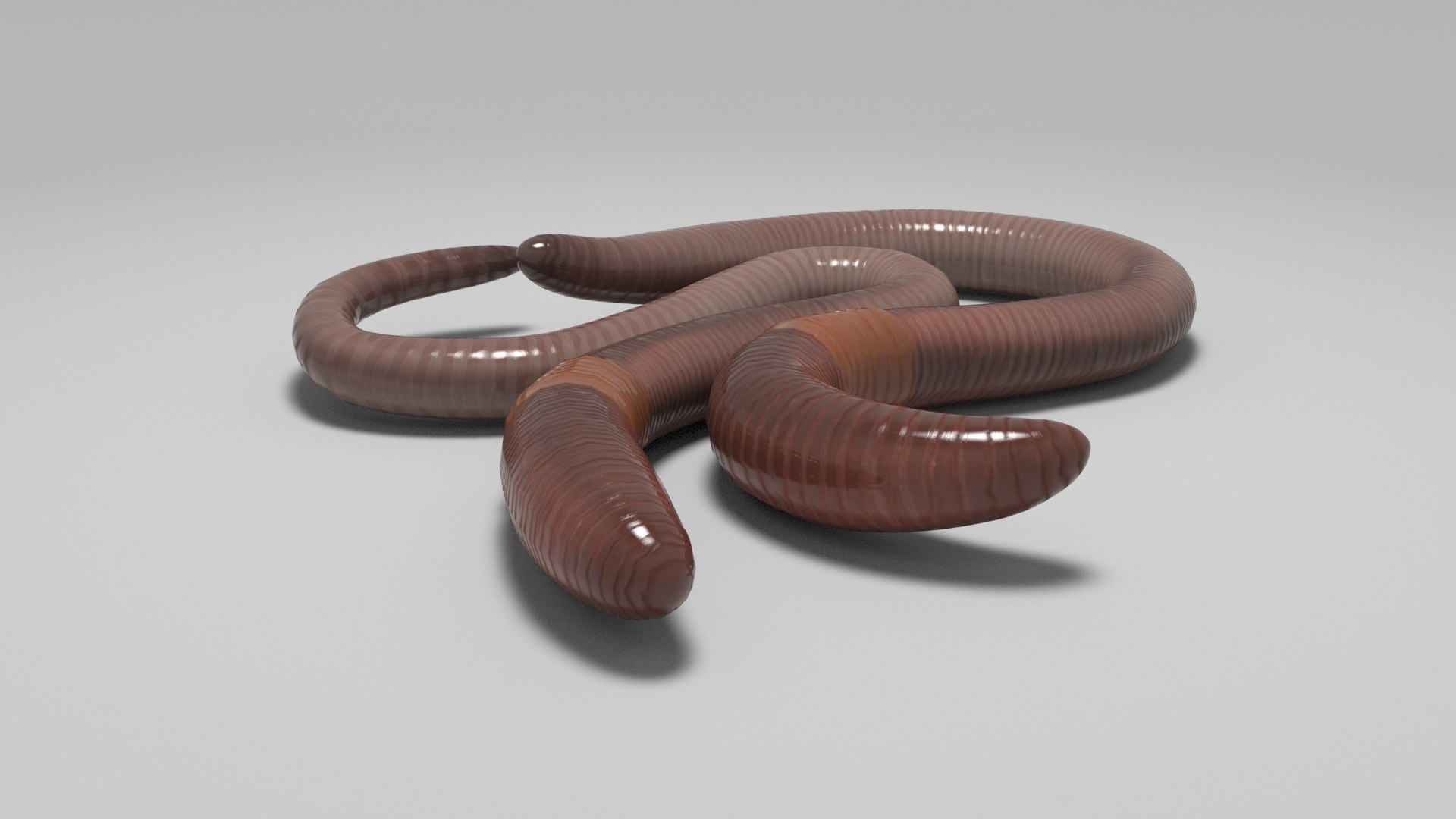 3D Earthworm Model - TurboSquid 1989188