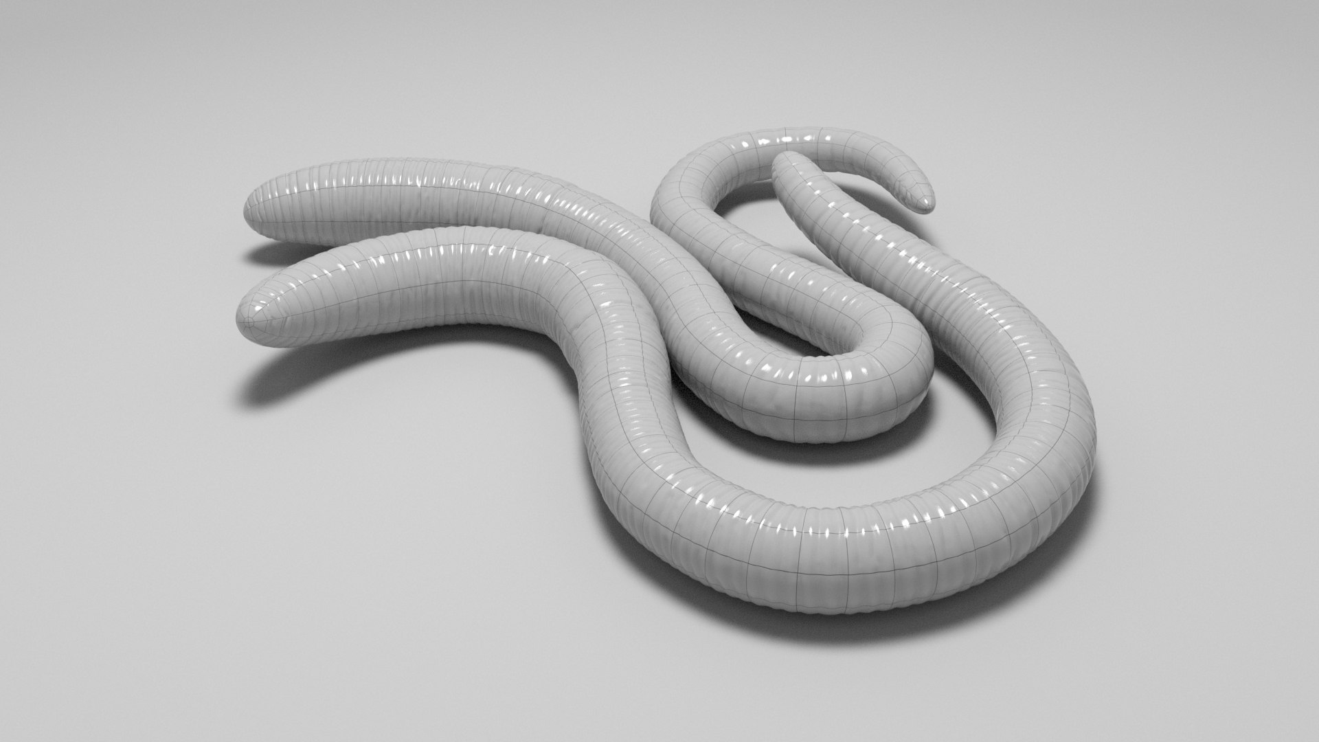 3D Earthworm Model - TurboSquid 1989188