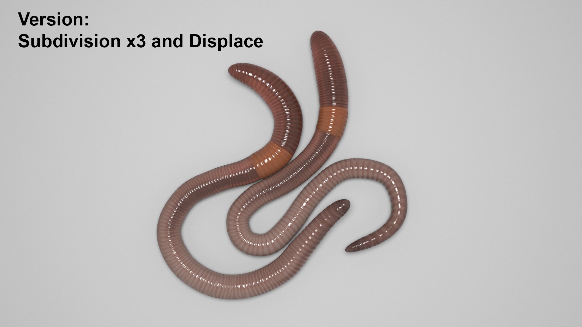 3D Earthworm Model - TurboSquid 1989188