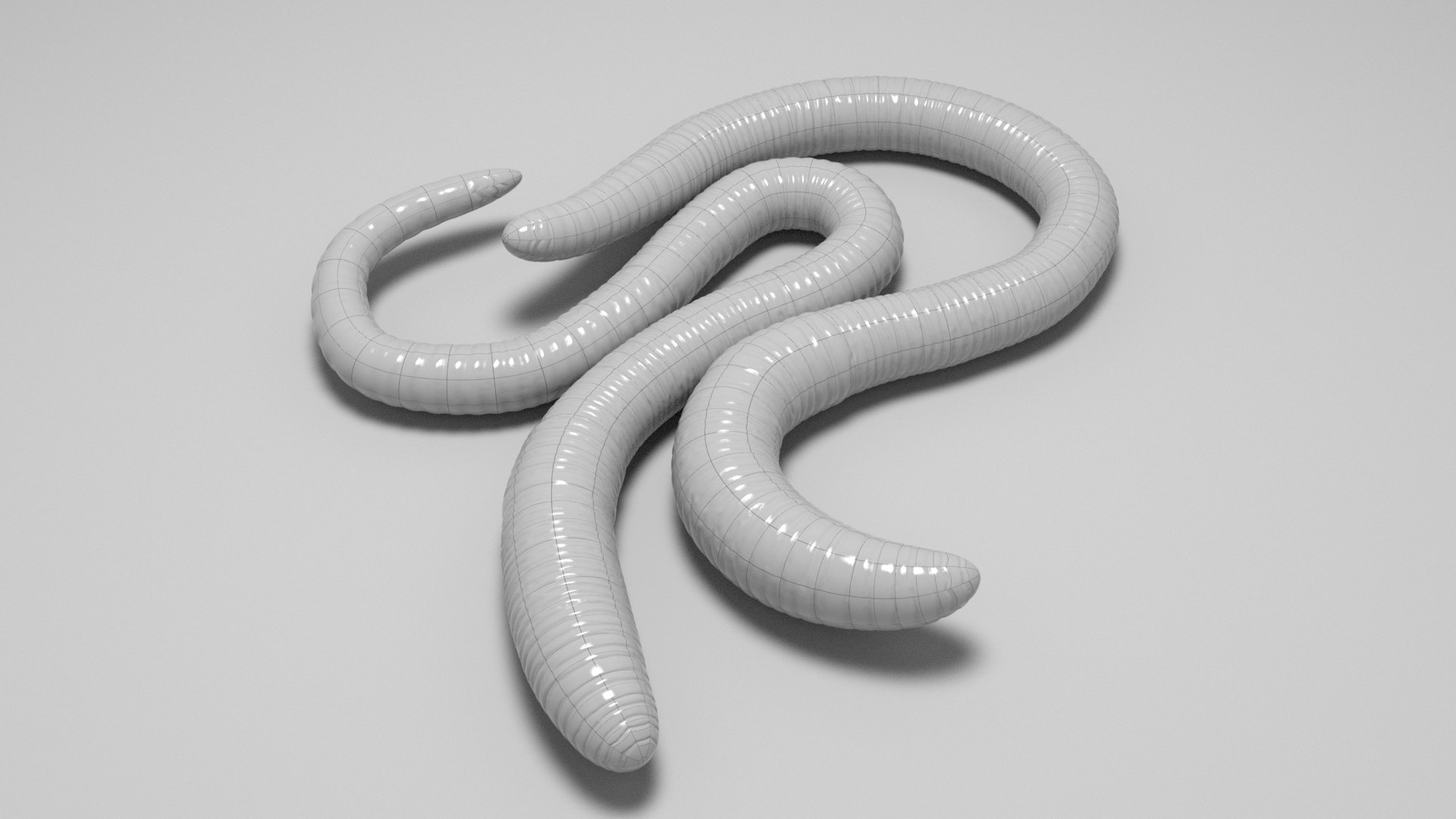 3D Earthworm Model - TurboSquid 1989188