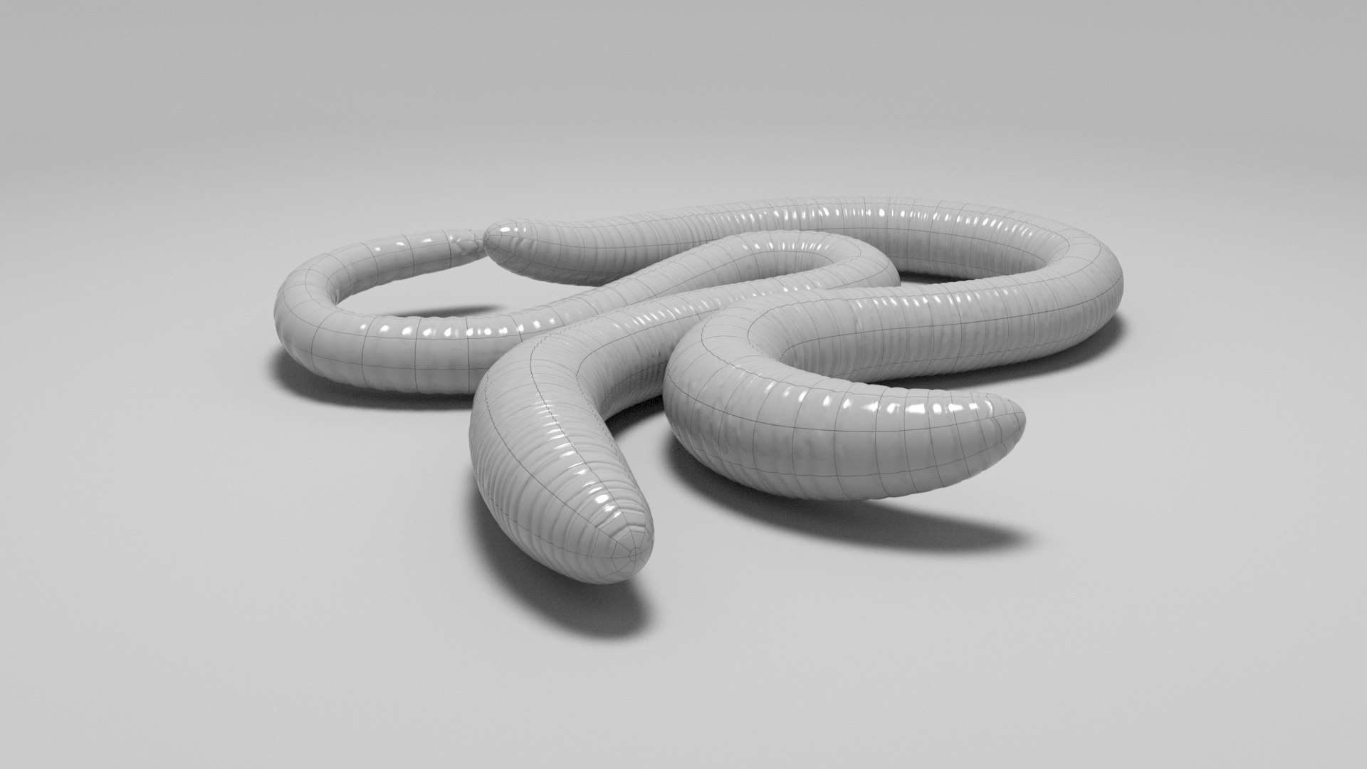3D Earthworm Model - TurboSquid 1989188