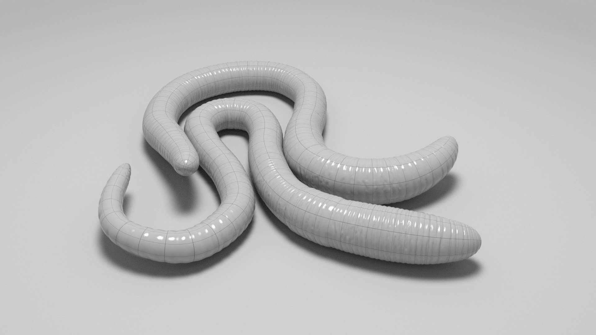 3D Earthworm Model - TurboSquid 1989188