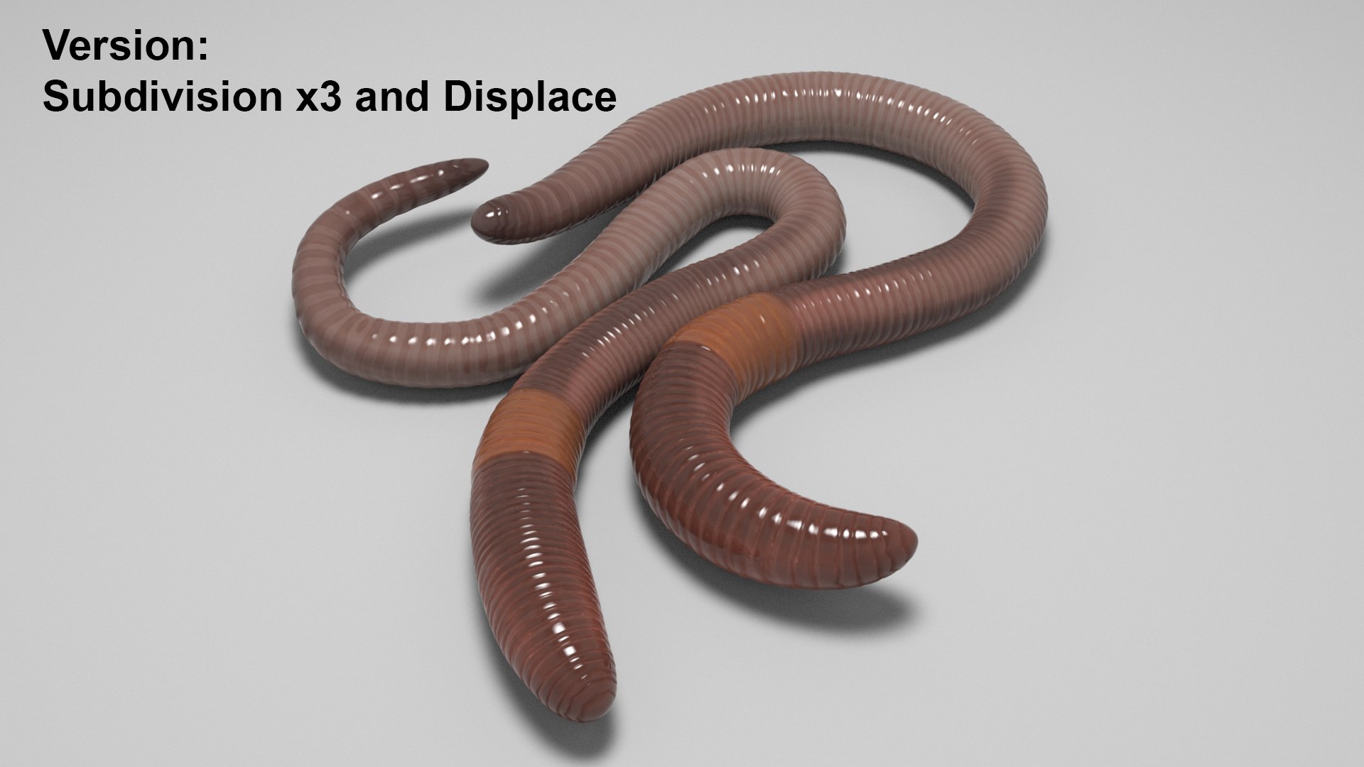 3D Earthworm Model - TurboSquid 1989188