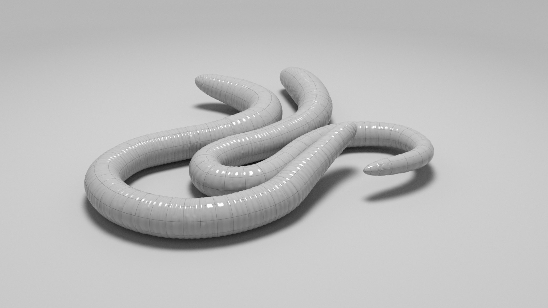 3D Earthworm Model - TurboSquid 1989188