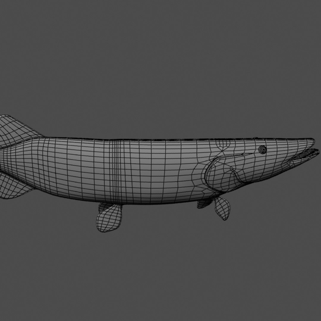 3d Model Northern Pike