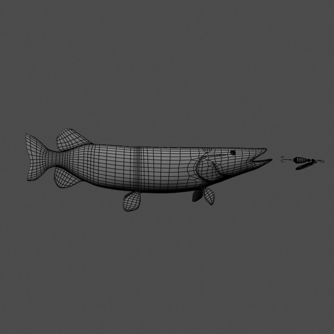 3d Model Northern Pike