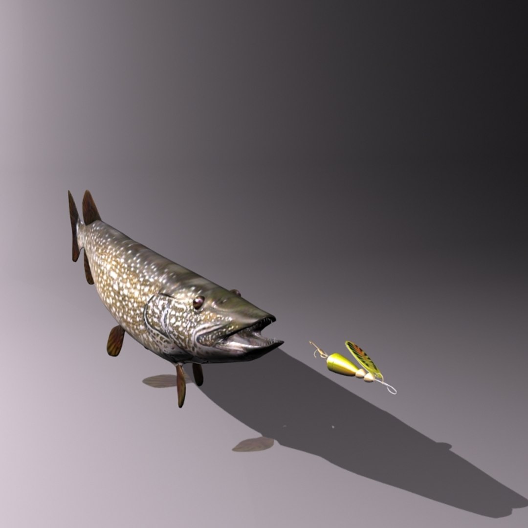 3d Model Northern Pike