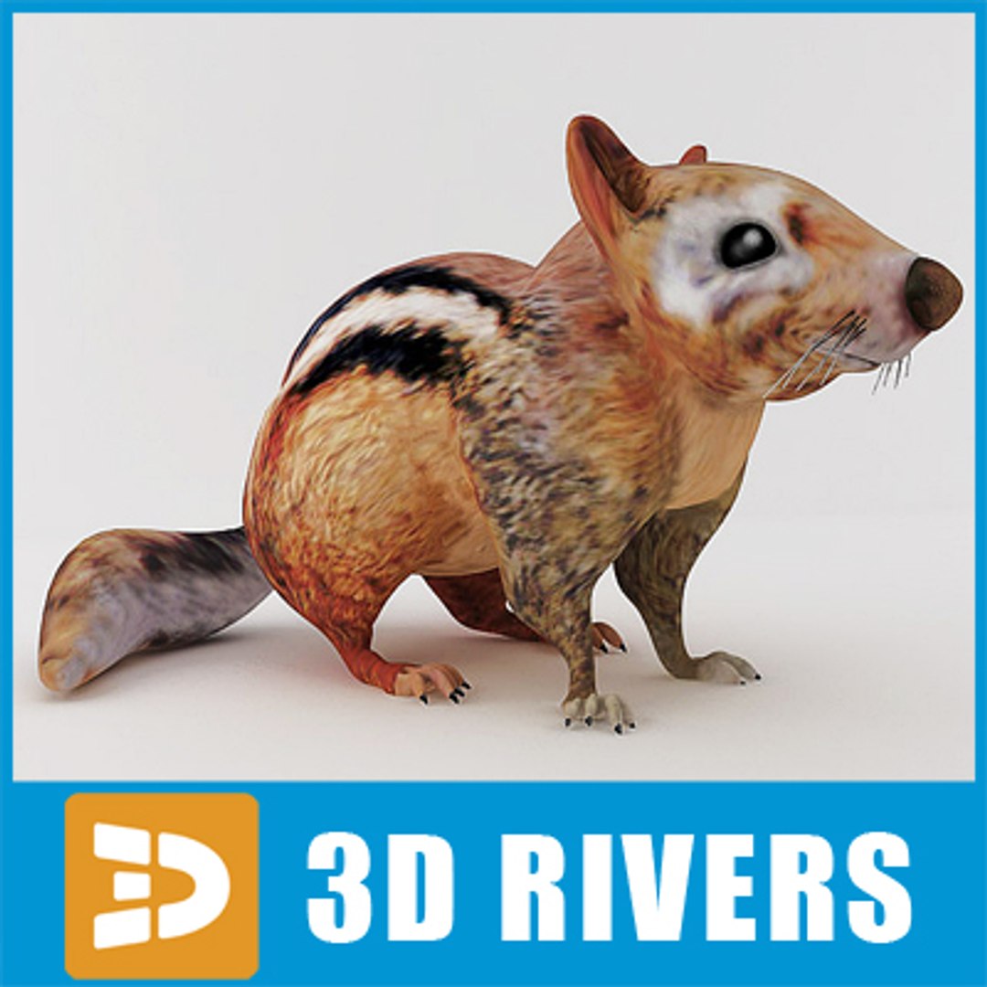 3d Model Cute Chipmunk Animals