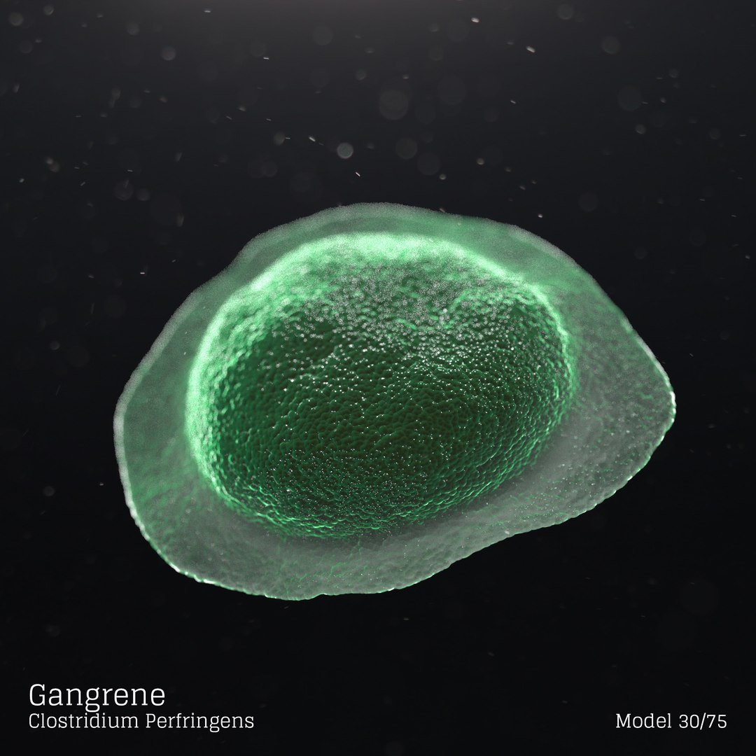 3D Microbes Bacteria Model - TurboSquid 1626182