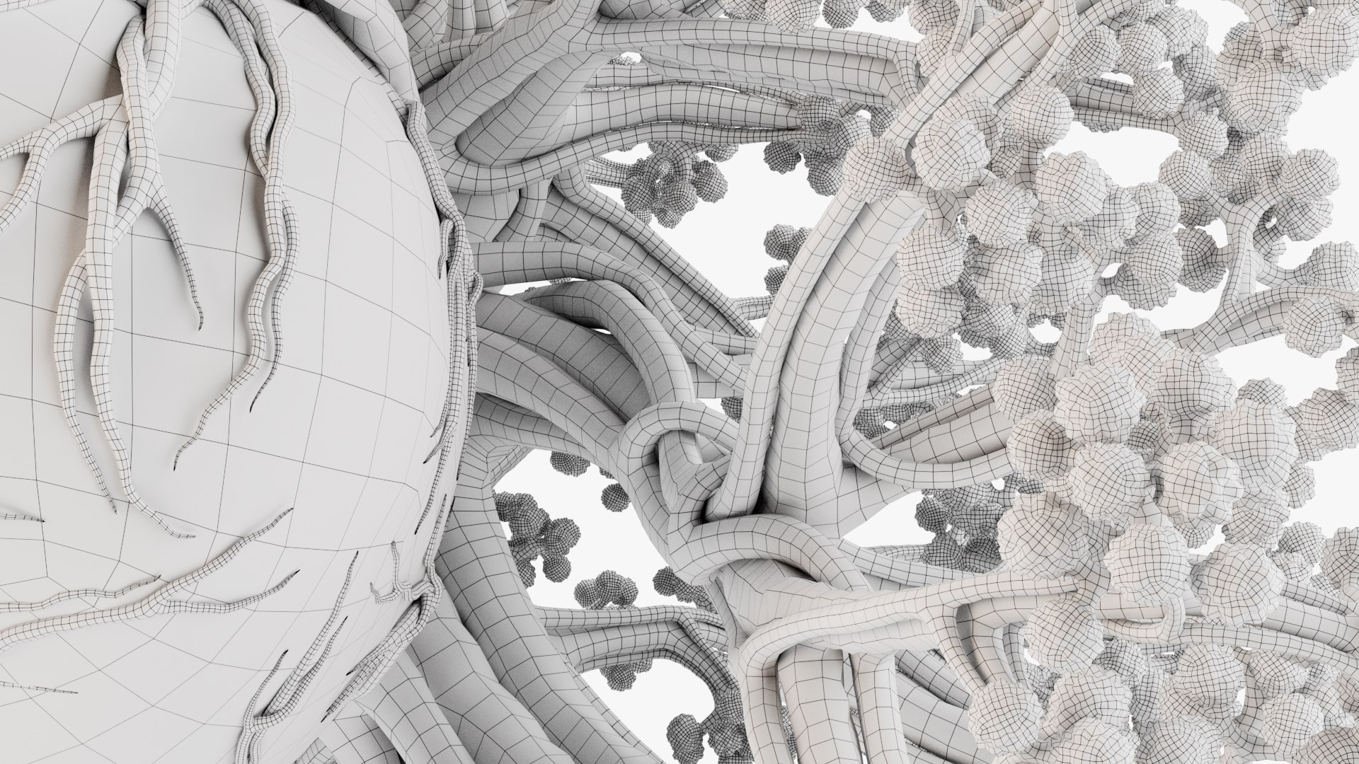 3D Animated Heart With Sound - TurboSquid 2080454
