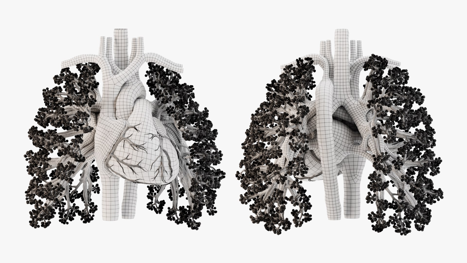 3D Animated Heart With Sound - TurboSquid 2080454