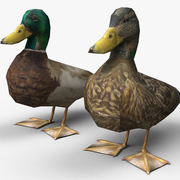 modelo 3d Patos - TurboSquid 1040794