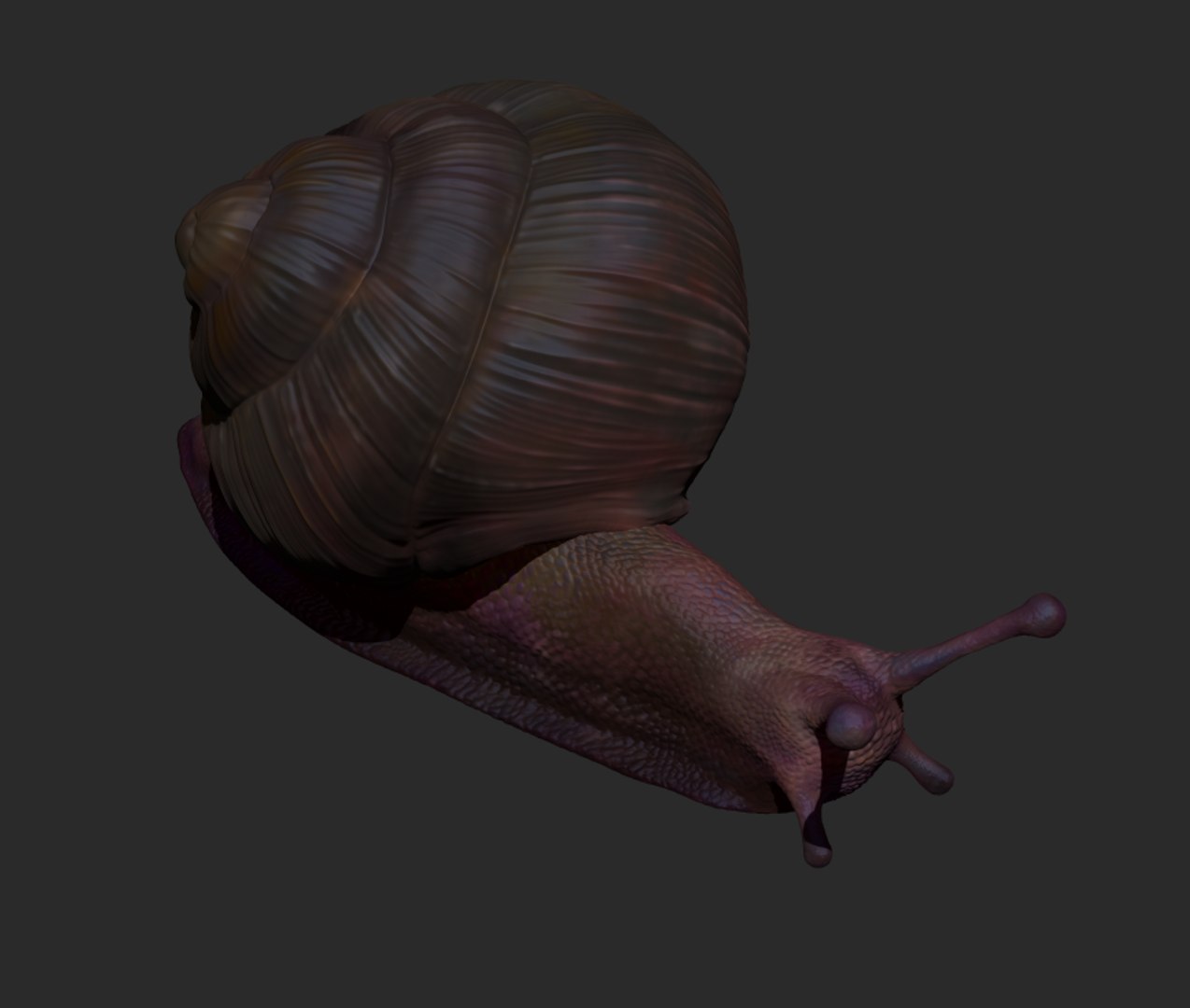 3D Snail Printable Print - TurboSquid 1423688