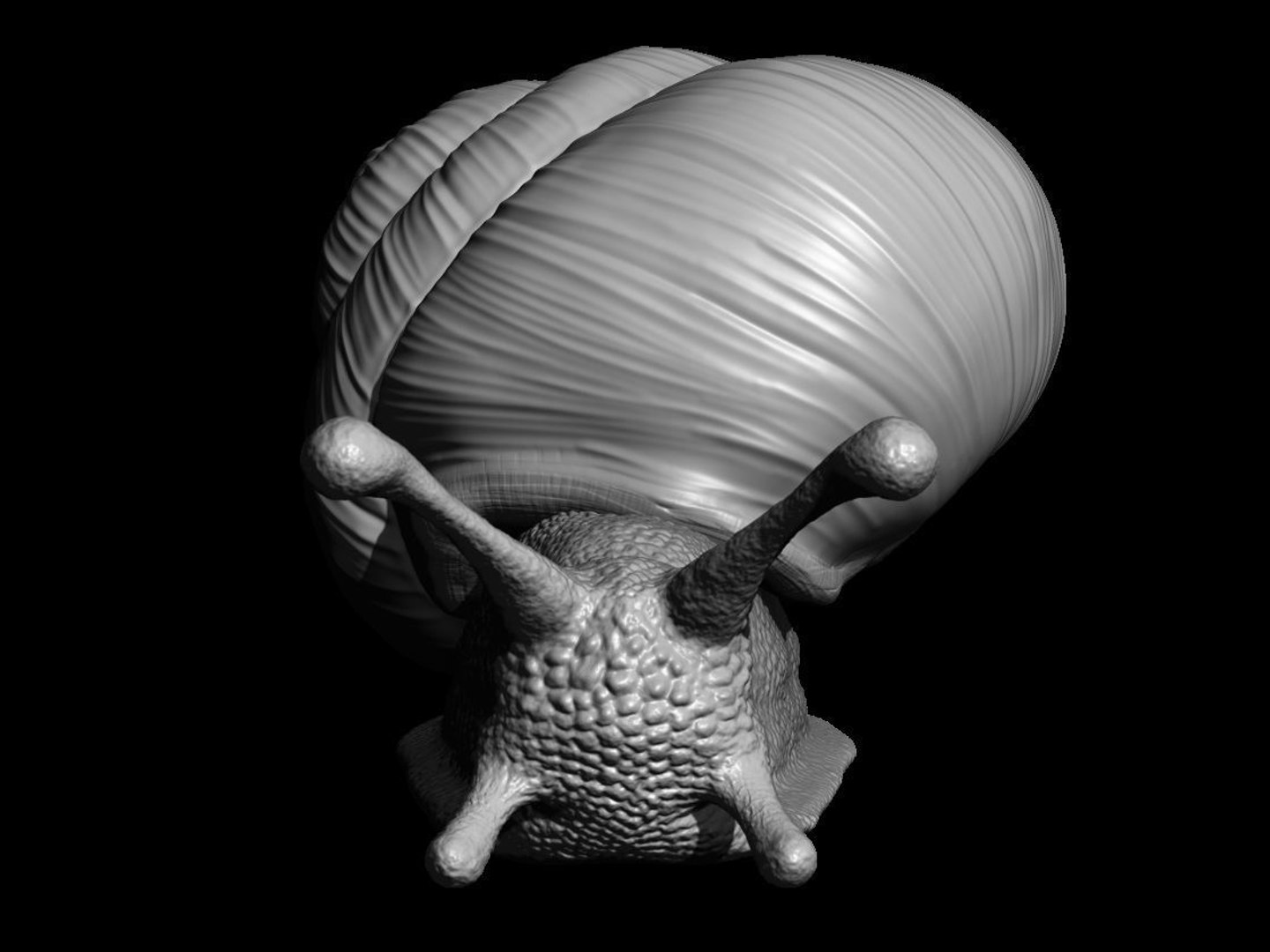 3D Snail Printable Print - TurboSquid 1423688