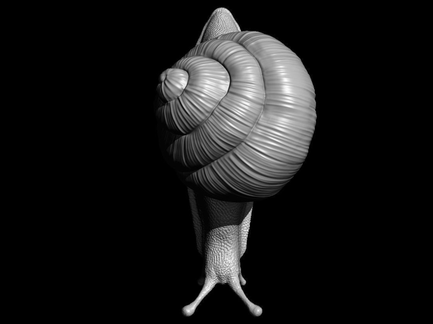 3D Snail Printable Print - TurboSquid 1423688