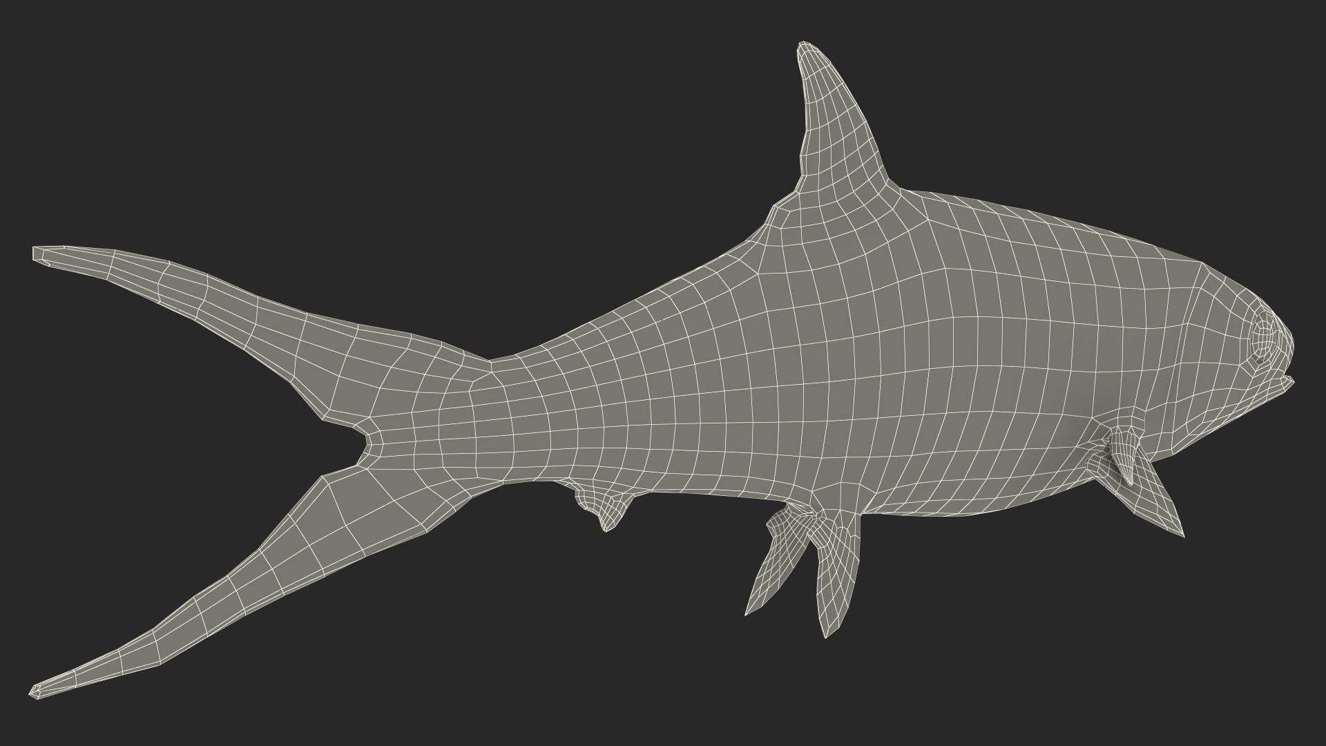 Chanos Chanos Rigged For Maya 3D Model - TurboSquid 2252281