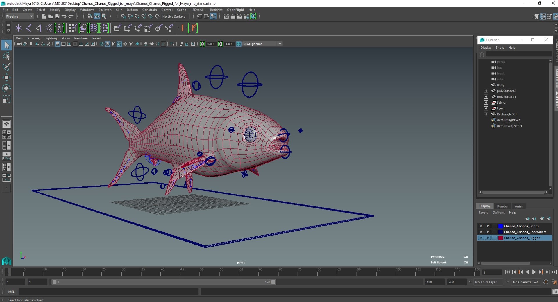 Chanos Chanos Rigged For Maya 3D Model - TurboSquid 2252281