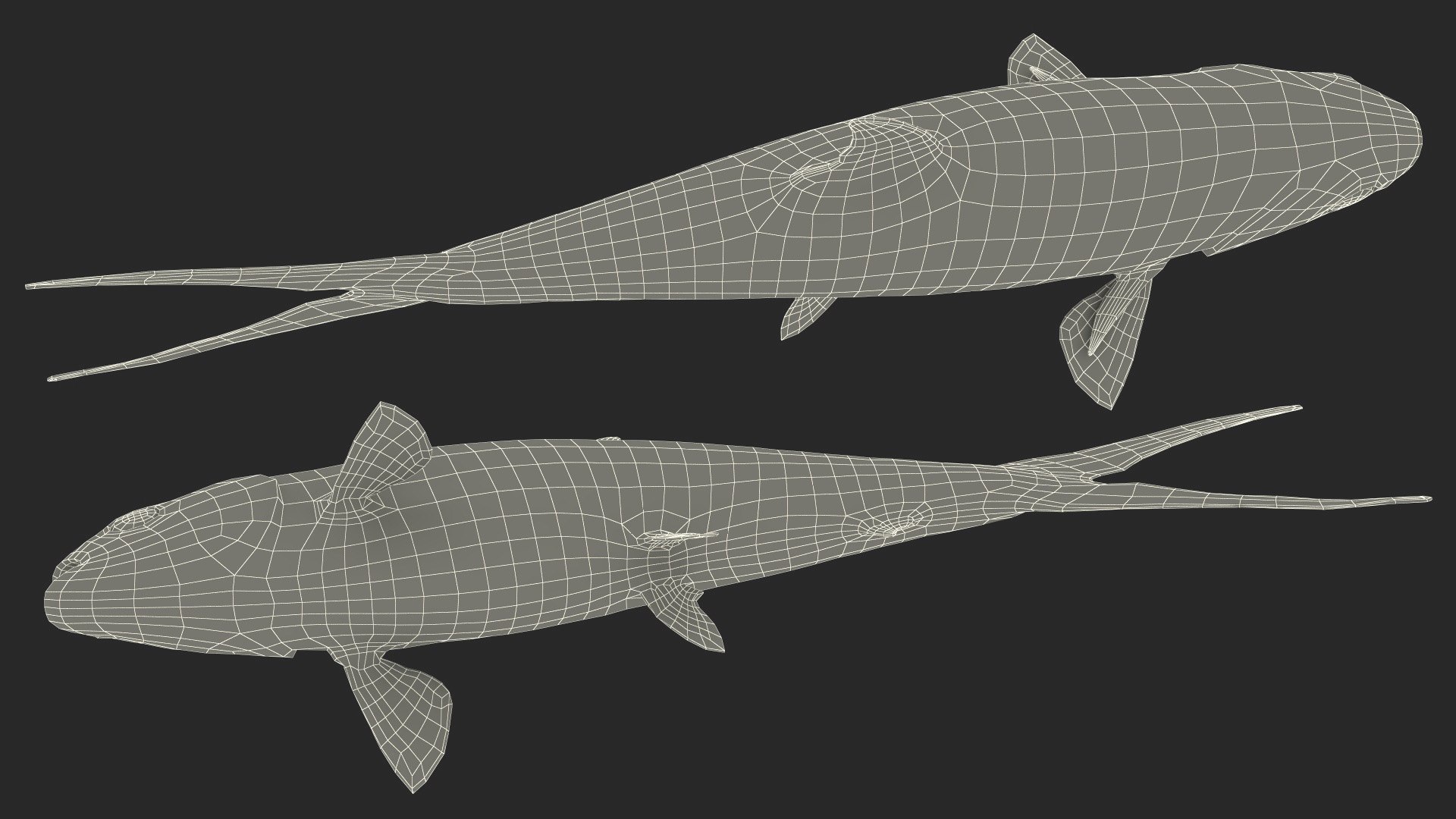 Chanos Chanos Rigged For Maya 3D Model - TurboSquid 2252281