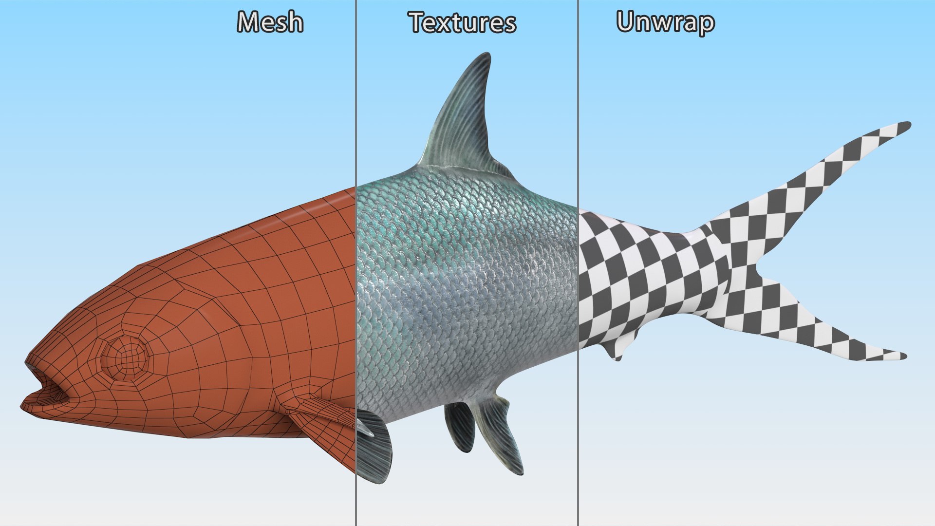 Chanos Chanos Rigged For Maya 3D Model - TurboSquid 2252281