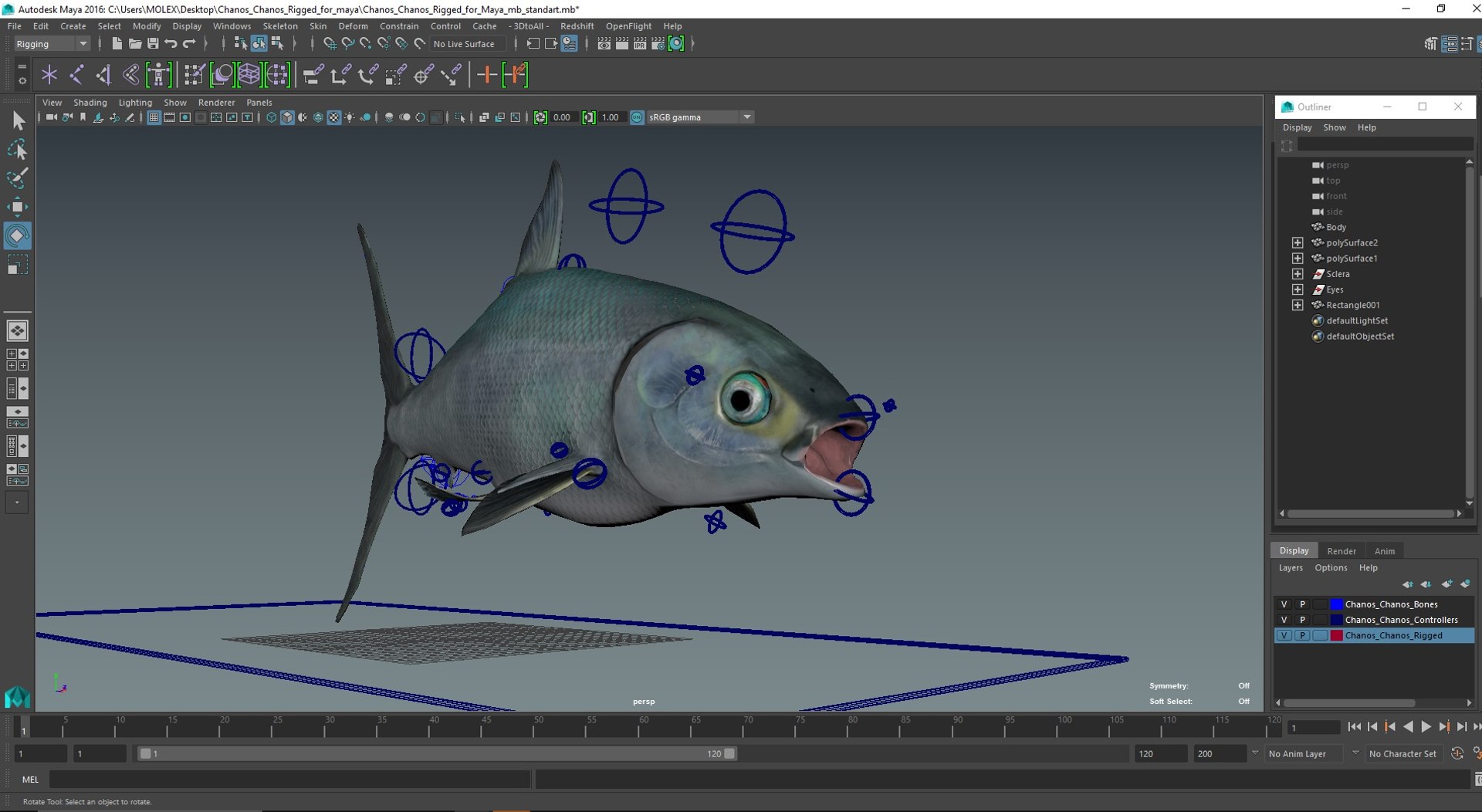 Chanos Chanos Rigged For Maya 3D Model - TurboSquid 2252281
