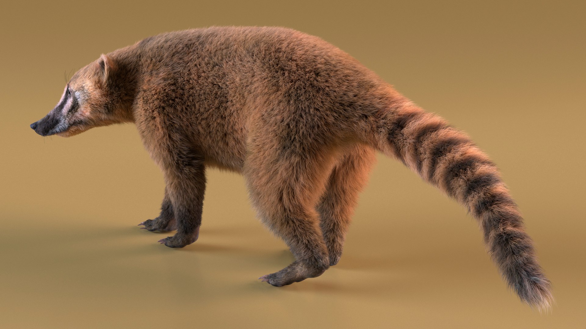 Walking Coati Fur Model - TurboSquid 2194199
