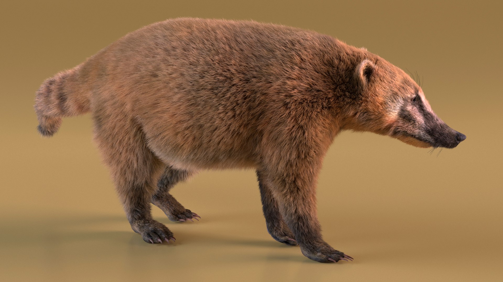 Walking Coati Fur Model - TurboSquid 2194199