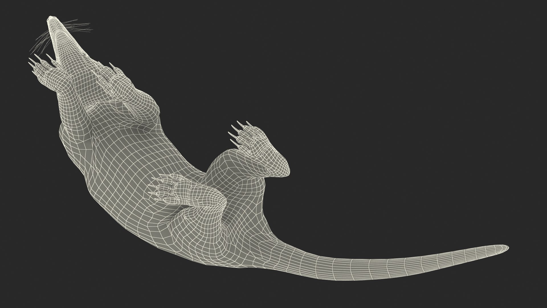 Walking Coati Fur Model - TurboSquid 2194199