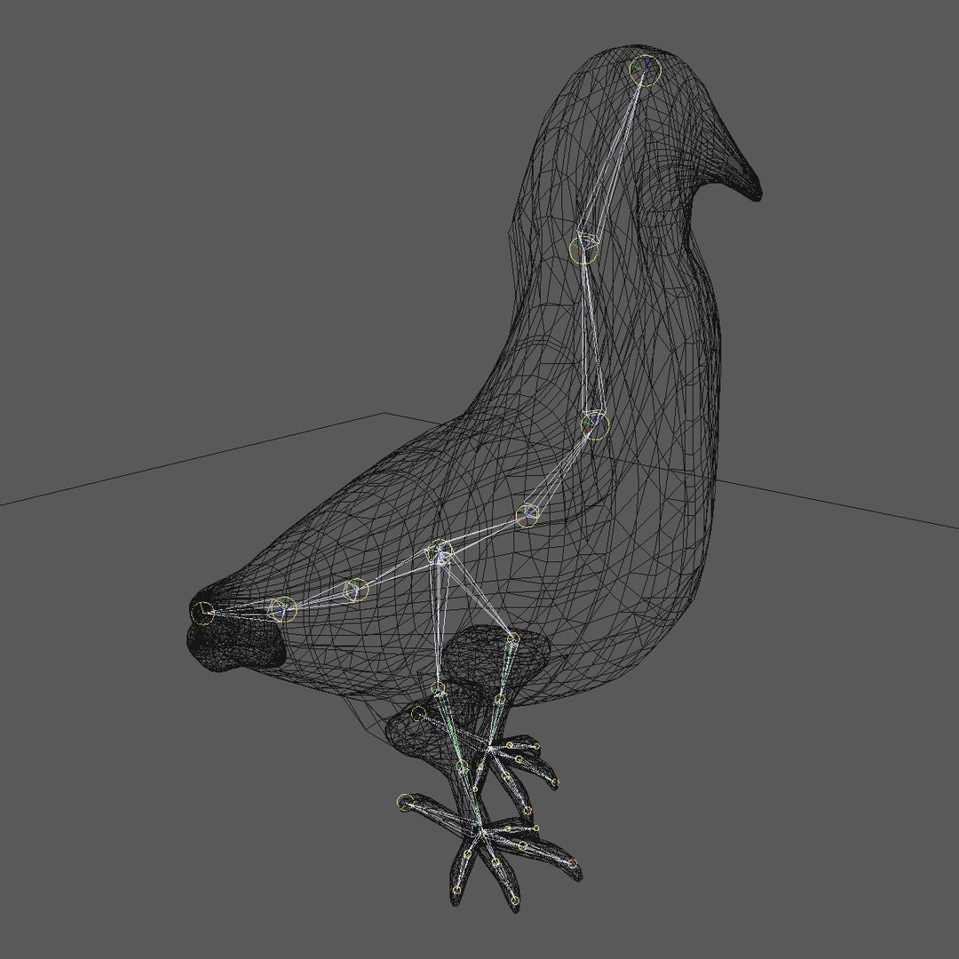 Single Walking Pigeon Animation C4d