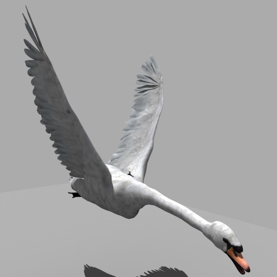 Obj Swan Rigged