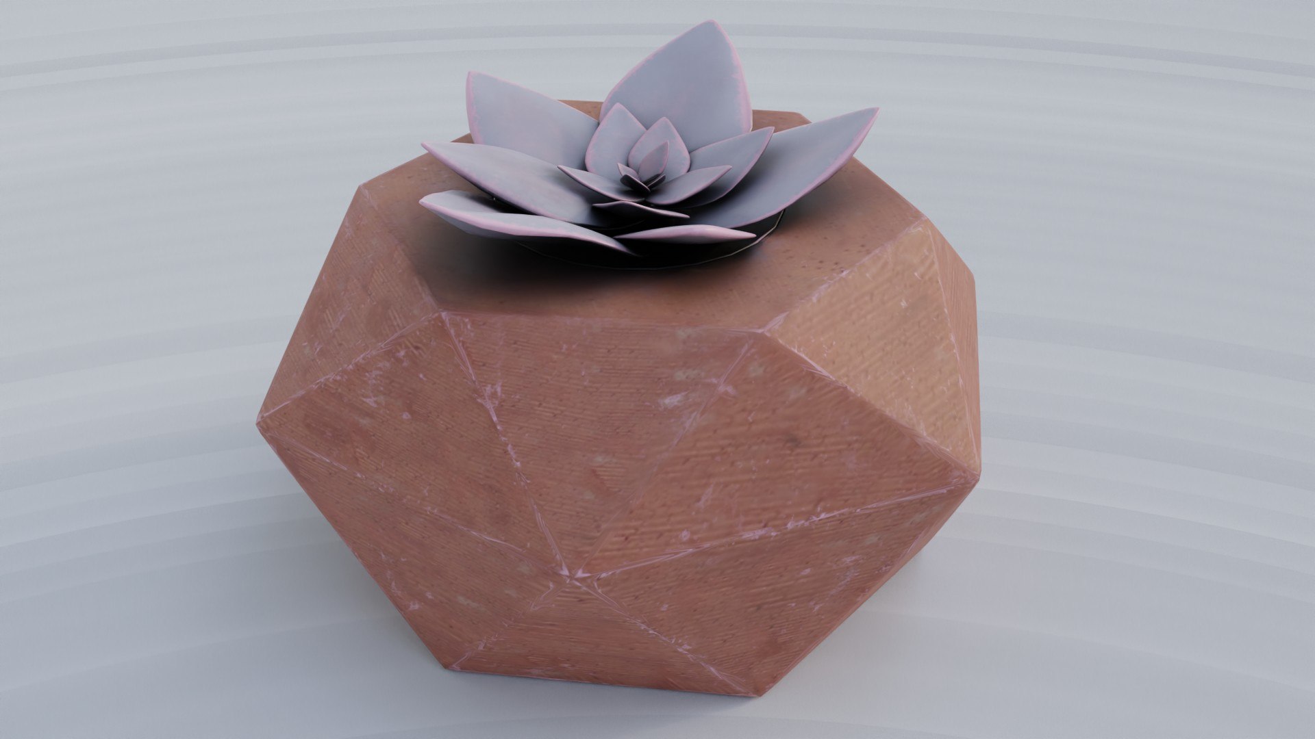 Succulent 3D - TurboSquid 2093703