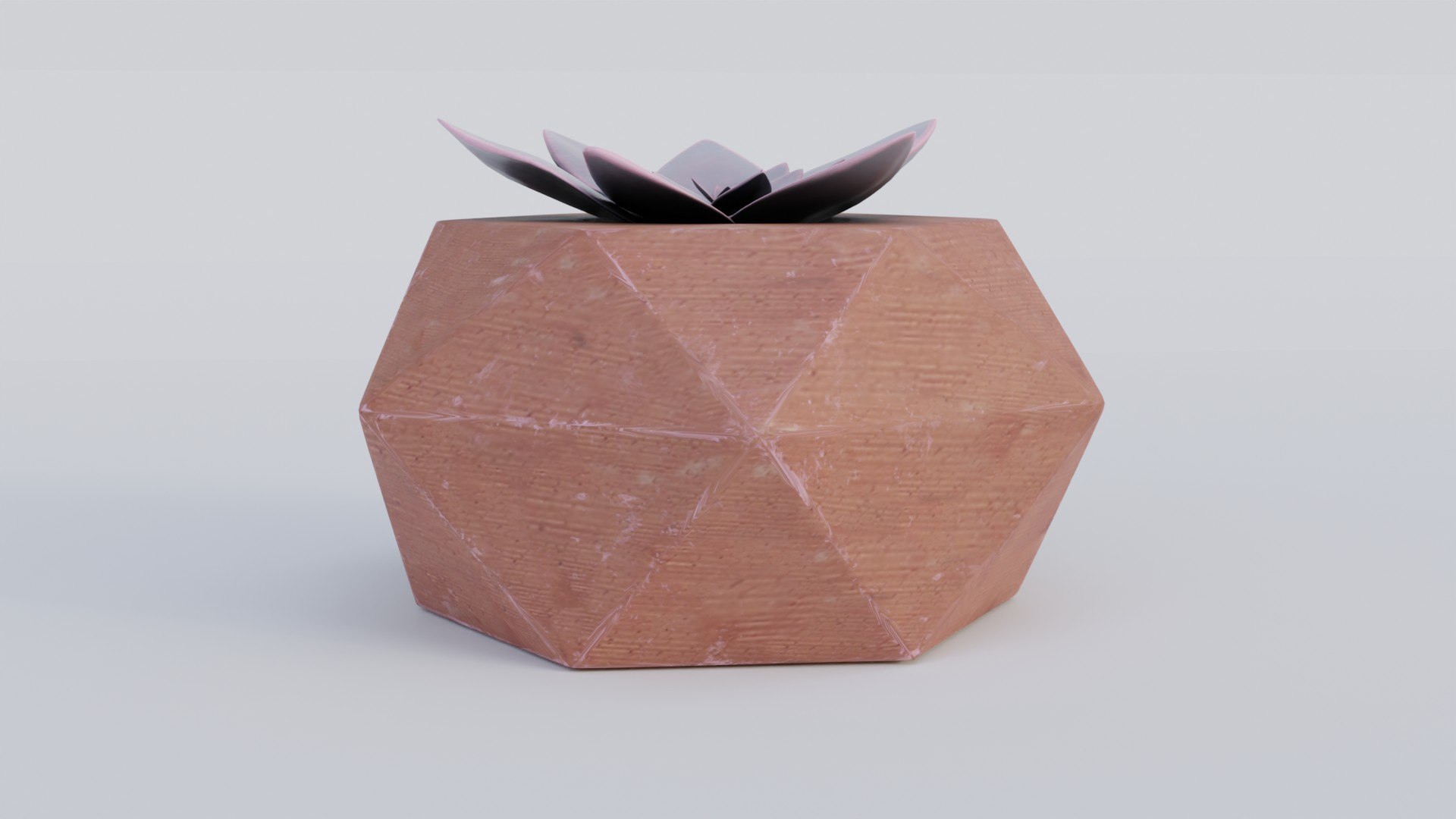 Succulent 3D - TurboSquid 2093703
