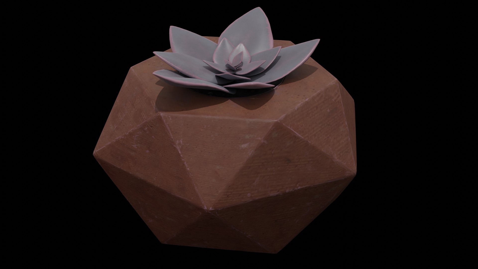 Succulent 3D - TurboSquid 2093703
