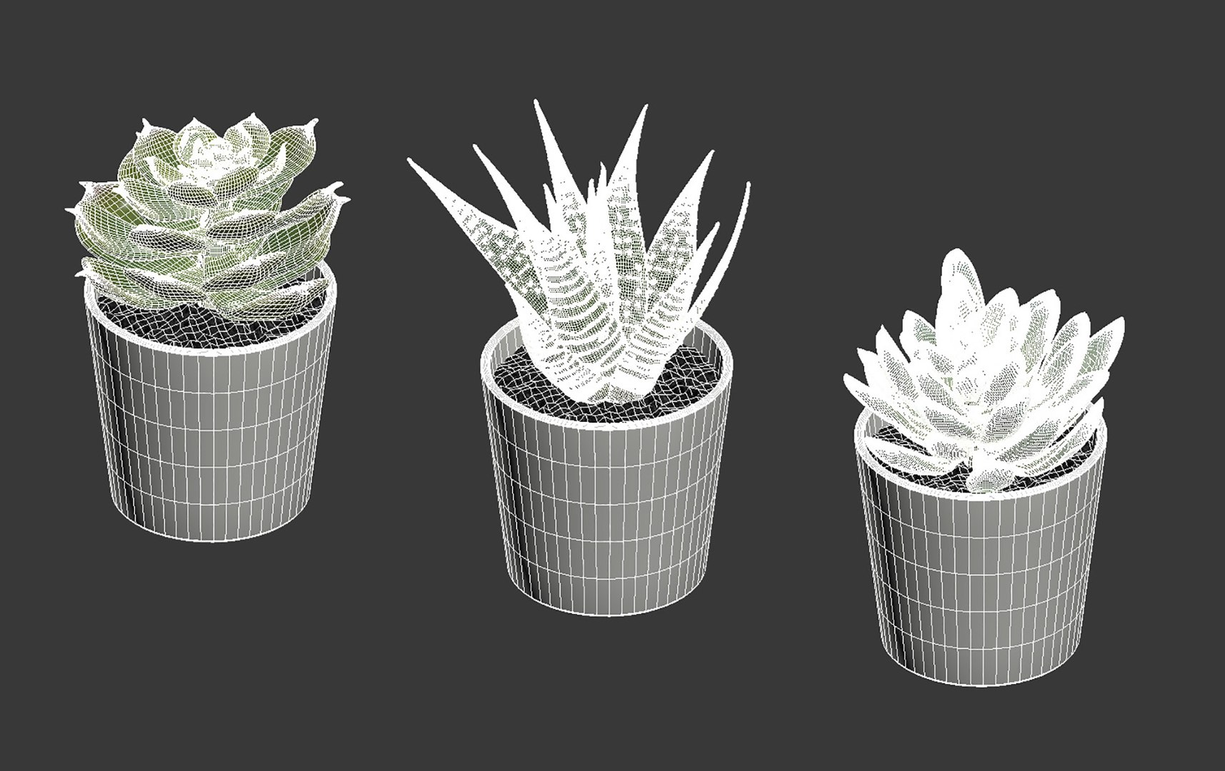 3D Model Succulents - TurboSquid 1952712