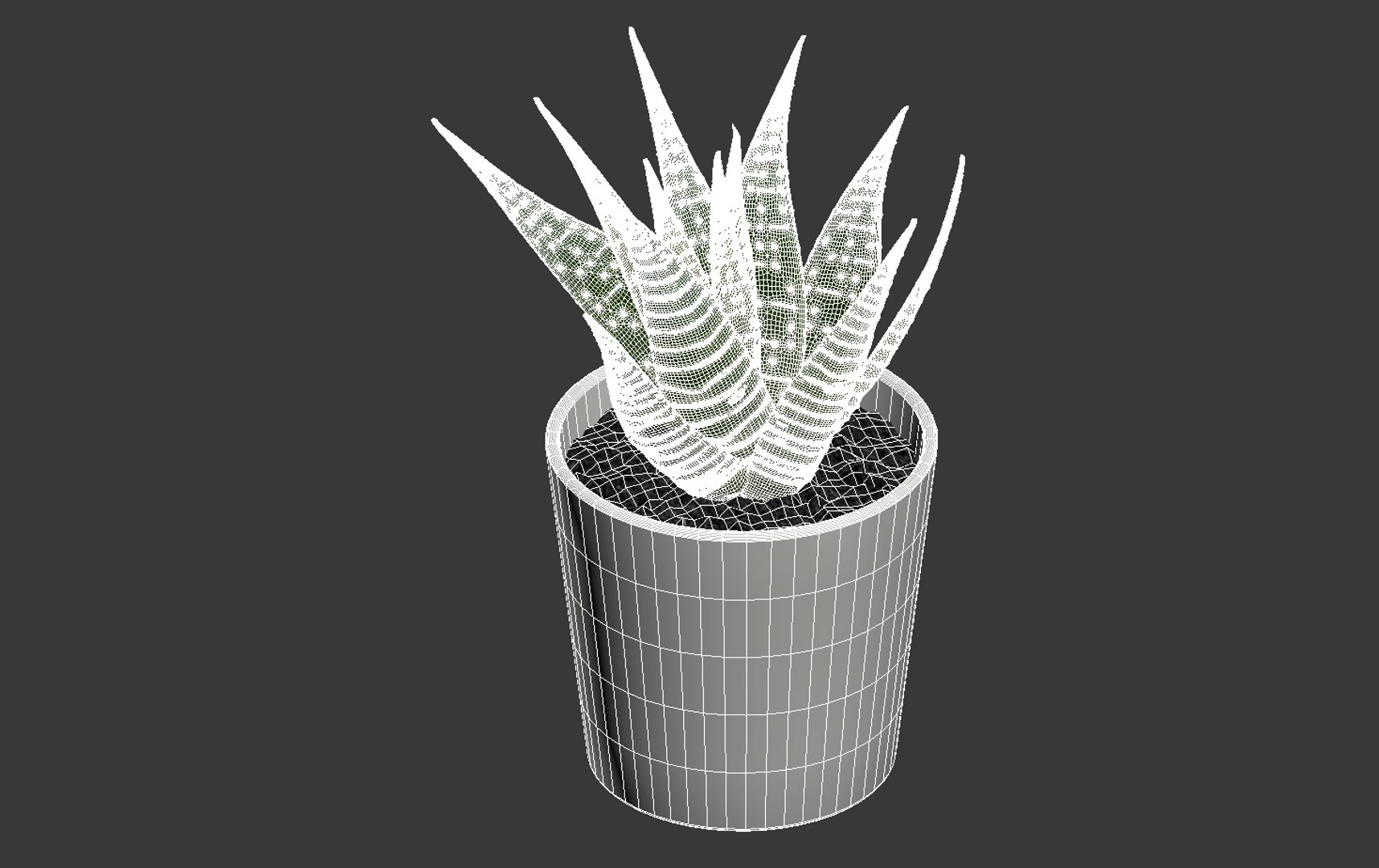 3D Model Succulents - TurboSquid 1952712