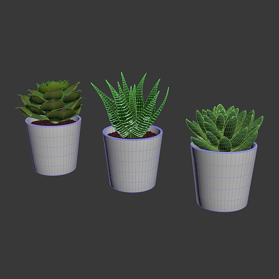 3D Model Succulents - TurboSquid 1952712