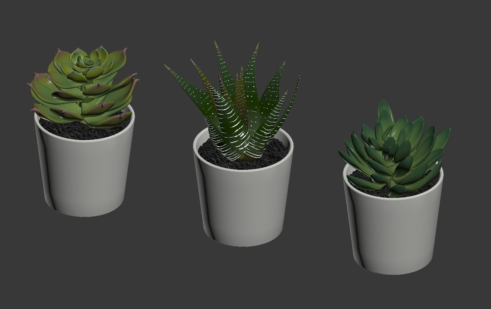 3D Model Succulents - TurboSquid 1952712