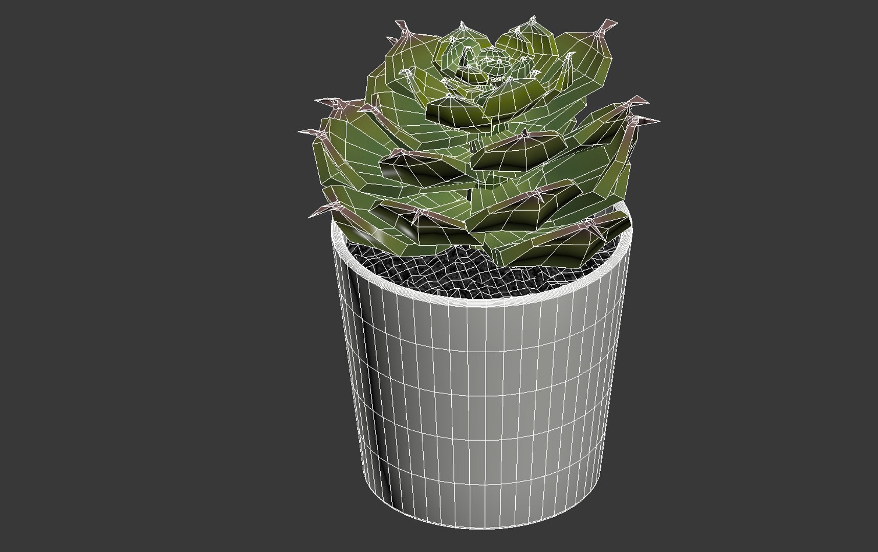 3D Model Succulents - TurboSquid 1952712