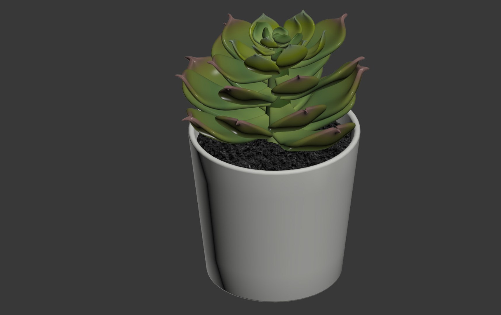 3D Model Succulents - TurboSquid 1952712