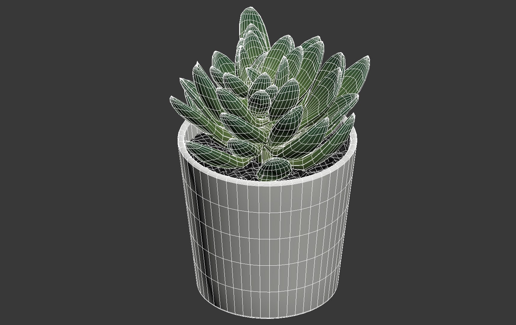 3D Model Succulents - TurboSquid 1952712