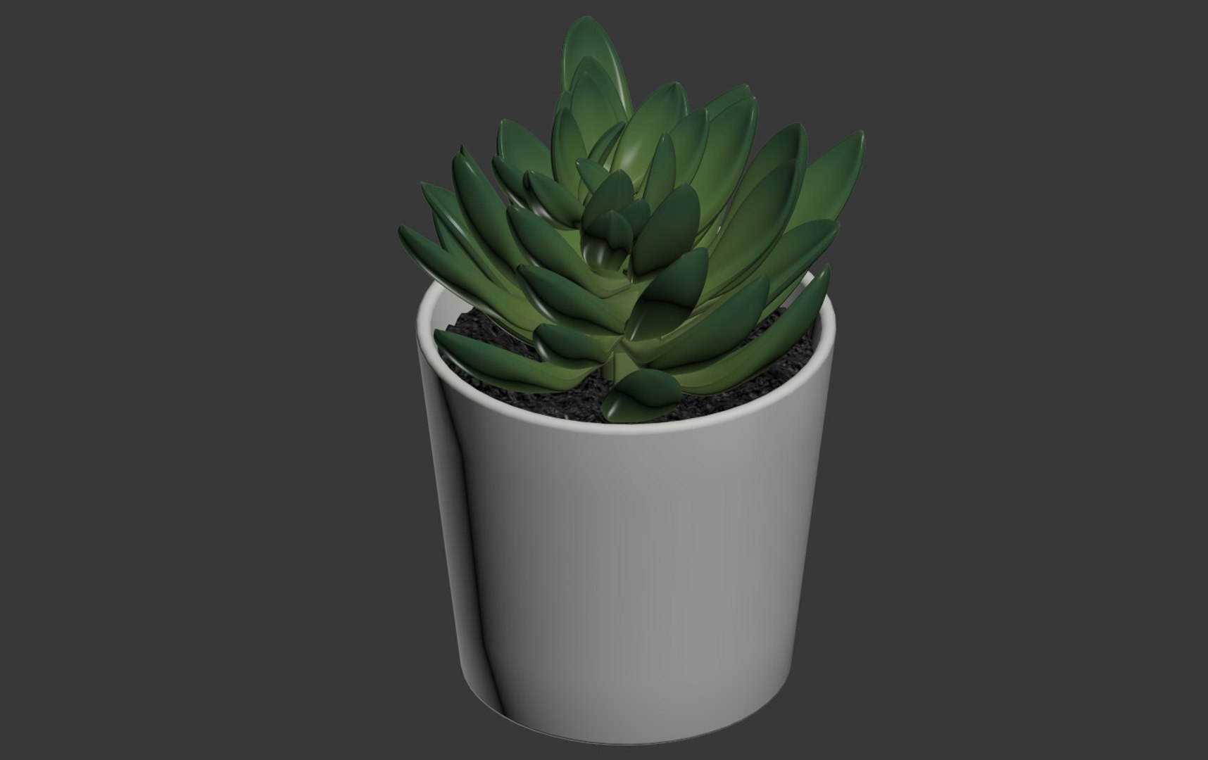 3D Model Succulents - TurboSquid 1952712
